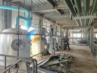 China Oil Pretreatment Plant with 3D Design for Palm Oil Processing - 100kg Capacity per Tree, 45-50% Kernel Yield for sale