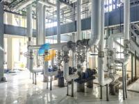 China Industrial Edible Oil Processing Equipment with 20,000+ Tons/Day Capacity and Patented Technology for sale