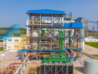 China Palm Oil Leaching Steaming Extraction Equipment 100-200 TPD Capacity for sale