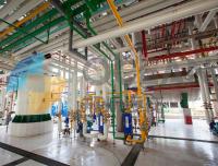 China DTDC Section Edible Oil Extraction Equipment Automatic Solvent Plant with 5-Process Flow and Energy-Saving Design for sale