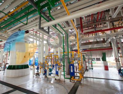 China Corn Germ Oil Pressing Equipment 10-1000 TPD Capacity for Edible Oil Extraction Production Line for sale