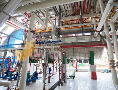 China Stainless Steel Edible Oil Extraction Plant with Super Wet Degumming - Complete Processing System for sale