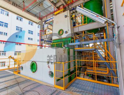 China Palm Oil Leaching Steaming Extraction Equipment 100-200 TPD Capacity for sale