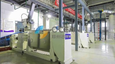 China Small Variety Oil Seeds Processing Production Line 10-1000TPD Fully Automatic for sale