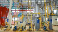 China Low Temperature Cold Pressing Equipment for Peanut Oil Processing - 10-1000 TPD Capacity - Small Variety Oil Seeds Production Line for sale