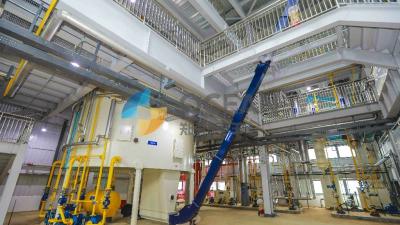 China Biodiesel Crude Palm Edible Oil Refining Equipment 30-1500 TPD Continuous for sale