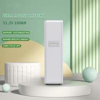 China Home Solar Wall Mounted Energy Storage Battery LiFePO4 Battery Hybrid System for sale