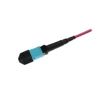 China Om4 Multimode Fiber Patch Cord Plenum Mm Mtp Mpo 12 Connector for sale