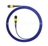 China Mpo Mtp 12 Fiber Optical Patch Cord Multimode for sale