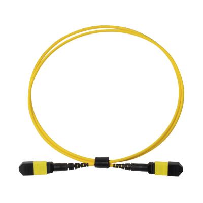 China Plenum OFNP MPO Patch Cord 1m 3ft MTP-12 APC Female to MTP-12 APC Female Single Mode OS2 for sale
