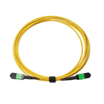 China 3m 10ft MTP-12 APC Female to MTP-12 APC Female Single Mode OS2 Plenum MPO Patch Cord Yellow for sale
