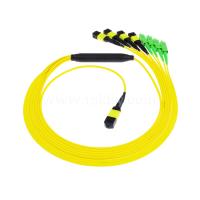 China Optional MTP Trunk Cable MPO/MTP SC/LC/FC/ST/MPO Fiber Optic Cable for Data Center for sale