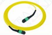 China MTP-12 APC Female to MTP-12 APC Female Singlemode OS2 Plenum OFNP Type A MPO patch cord for sale