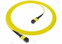 China MTP-12 APC Female to MTP-12 APC Female SingleMode OS2 Plenum OFNP Type A MPO Patch Cord 5m 16ft for sale