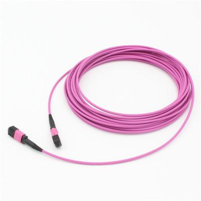 China Elite Multimode OM4 50/125, Plenum OFNP Type B MPO patch cord 1m 3ft MTP-12 PC Female to MTP-12 PC Female for sale
