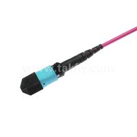 China Elite Multimode OM4 50/125, Plenum OFNP Type B MPO patch cord 3m 10ft MTP-12 PC Female to MTP-12 PC Female for sale