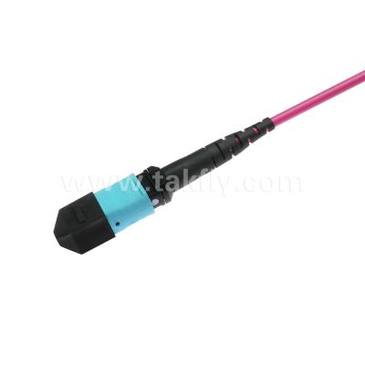 China Elite Multimode OM4 50/125, Plenum OFNP Type B MPO patch cord 3m 10ft MTP-12 PC Female to MTP-12 PC Female for sale