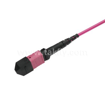 China Elite Multimode OM4 50/125, Plenum OFNP Type B MPO Patch Cord 5m 16ft MTP-12 PC Female To MTP-12 PC Female for sale