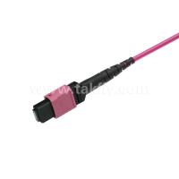 China Elite Multimode OM4 50/125 Plenum OFNP Type B MPO Patch Cord 3.0mm Cable 10m 33ft MTP-12 PC Female to MTP-12 PC Female for sale