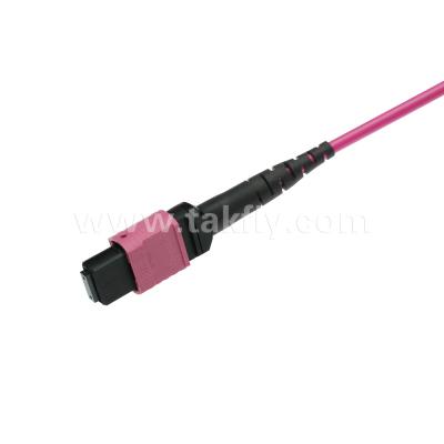 China Elite Multimode OM4 50/125 Plenum OFNP Type B MPO Patch Cord 3.0mm Cable 10m 33ft MTP-12 PC Female to MTP-12 PC Female for sale