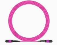 China Flexible MPO/MTP 12 Fibers Fiber Optic Patch Cord -20C- 70C for Different Environments for sale