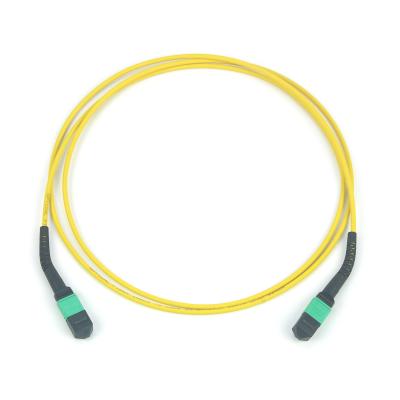 China High Performance MPO MTP Fiber Optic Trunk Cable with Double Jacket Design and Customized Lengths for sale