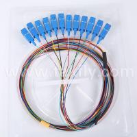 China 12 Core SC/UPC Single-Mode Fiber Optic Pigtail with 900um Tight Buffer and 2 Years Warranty for sale