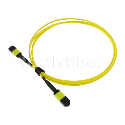 China 5M MTP® MPO Trunk Cable, MTP®-12 APC (Female) to MTP®-12 APC (Female), 12 Fibers, OS2 Plenum (OFNP), 0.35dB Max for sale