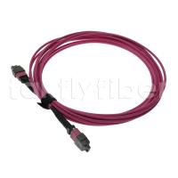 China CPR B2ca MTP® 12 Cores MPO Trunk Cable, F to F, UPC, 12F, OM4, OFNP, 0.20dB, Type B for sale