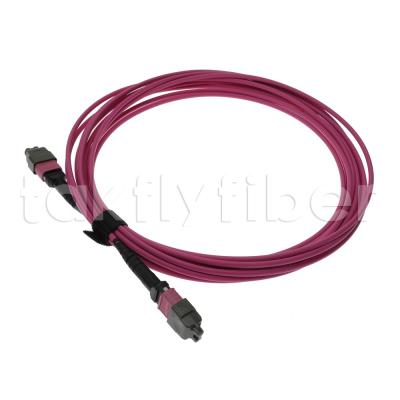 China CPR B2ca MTP® 12 Cores MPO Trunk Cable, F to F, UPC, 12F, OM4, OFNP, 0.20dB, Type B for sale