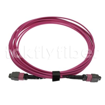 China CPR B2ca Multimode OM4 MPO to MPO Fiber Trunk Cable, MTP-12 OM4 Female to Female, Type A, 5m for sale