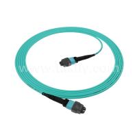 China High Density 8 12 16 24 MPO MTP Multimode MM OM3 OM4 Fiber Optic Patchcord / Optical Fiber Patch Cable / Optical Jumper/ Optical Fiber Trunk Cable for 10G 40G 100G 200G 400G Data Center for sale