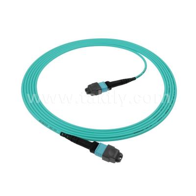 China High Density 8 12 16 24 MPO MTP Multimode MM OM3 OM4 Fiber Optic Patchcord / Optical Fiber Patch Cable / Optical Jumper/ Optical Fiber Trunk Cable for 10G 40G 100G 200G 400G Data Center for sale