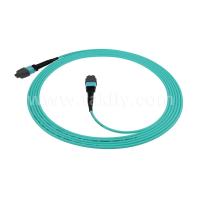 China OM3 OM4 OM5 MM 8 12 16 24 MPO MTP Multimode Fiber Optic Patchcord / Optical Fiber Patch Cable / Optical Jumper/ Optical Fiber Trunk Cable for 10G 40G 100G 200G 400G High Density Data Center for sale