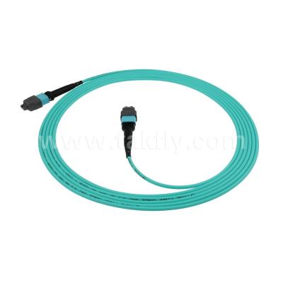 China OM3 OM4 OM5 MM 8 12 16 24 MPO MTP Multimode Fiber Optic Patchcord / Optical Fiber Patch Cable / Optical Jumper/ Optical Fiber Trunk Cable for 10G 40G 100G 200G 400G High Density Data Center for sale