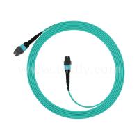China High Density OM3 OM4 OM5 Multimode 8F 12F 16F 24F MPO MTP Multimode Fiber Optic Patchcord / Optical Fiber Patch Cable / Optical Jumper/ Optical Fiber Trunk Cable for Data Center for sale