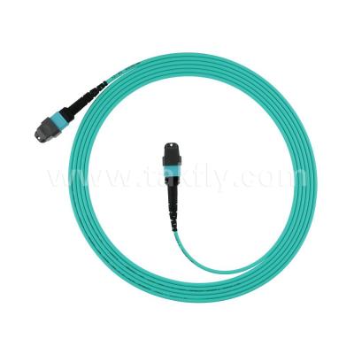 China High Density OM3 OM4 OM5 Multimode 8F 12F 16F 24F MPO MTP Multimode Fiber Optic Patchcord / Optical Fiber Patch Cable / Optical Jumper/ Optical Fiber Trunk Cable for Data Center for sale