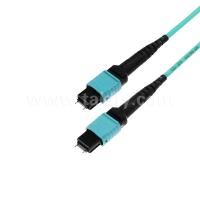 China 8F 12F 16F 24F MPO MTP Male Female OM3 OM4 OM5 Multimode  Multimode Fiber Optic Patchcord / Optical Fiber Patch Cable / Optical Breakout Cable/ Optical Fiber Trunk Cable for High Density Data Center for sale