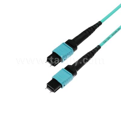 China 8F 12F 16F 24F MPO MTP Male Female OM3 OM4 OM5 Multimode  Multimode Fiber Optic Patchcord / Optical Fiber Patch Cable / Optical Breakout Cable/ Optical Fiber Trunk Cable for High Density Data Center for sale