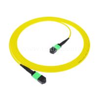China 8F 12F 16F 24F MPO MTP Male Female SM OS2 G652D G657A1 G657A2 Fiber Optic Patchcord / Optical Fiber Patch Cable / Optical Breakout Cable/ Optical Fiber Trunk Cable for High Density Data Center for sale