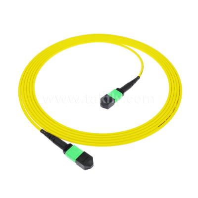 China 8F 12F 16F 24F MPO MTP Male Female SM OS2 G652D G657A1 G657A2 Fiber Optic Patchcord / Optical Fiber Patch Cable / Optical Breakout Cable/ Optical Fiber Trunk Cable for High Density Data Center for sale