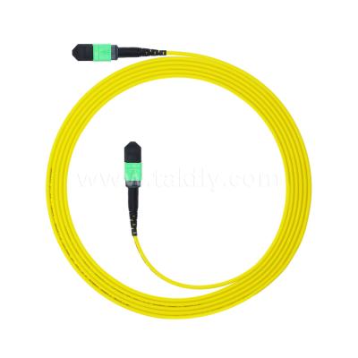 China MPO MTP Male Female 8F 12F 16F 24F SM OS2 G652D G657A1 G657A2 Fiber Optic Patchcord / Optical Fiber Patch Cable / Optical Breakout Cable/ Optical Fiber Trunk Cable for sale