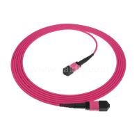 China MPO MTP Male Female 8F 12F 16F 24F MM Multimode OM4 Fiber Optic Patchcord / Optical Fiber Patch Cable / Optical Breakout Cable/ Optical Fiber Trunk Cable for sale