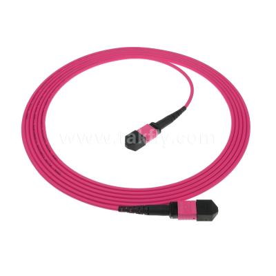 China MPO MTP Male Female 8F 12F 16F 24F MM Multimode OM4 Fiber Optic Patchcord / Optical Fiber Patch Cable / Optical Breakout Cable/ Optical Fiber Trunk Cable for sale