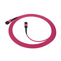 China MM Multimode OM4 MPO MTP Male Female 8F 12F 16F 24F Fiber Optic Patchcord / Optical Fiber Patch Cable / Optical Breakout Cable/ Optical Fiber Trunk Cable with PVC LSZH OFNR OFNP Outer Jacket for sale