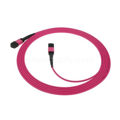 China MM Multimode OM4 MPO MTP Male Female 8F 12F 16F 24F Fiber Optic Patchcord / Optical Fiber Patch Cable / Optical Breakout Cable/ Optical Fiber Trunk Cable with PVC LSZH OFNR OFNP Outer Jacket for sale
