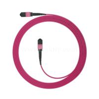 China Elite MPO MTP Male Female 8F 12F 16F 24F MM Multimode OM4 Fiber Optic Patchcord / Optical Fiber Patch Cable / Optical Breakout Cable/ Optical Fiber Trunk Cable with PVC LSZH OFNR OFNP Outer Jacket for sale