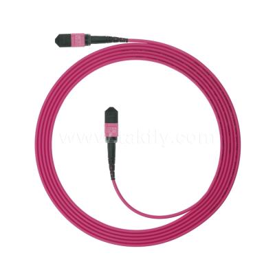 China Elite MPO MTP Male Female 8F 12F 16F 24F MM Multimode OM4 Fiber Optic Patchcord / Optical Fiber Patch Cable / Optical Breakout Cable/ Optical Fiber Trunk Cable with PVC LSZH OFNR OFNP Outer Jacket for sale