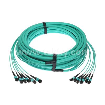 China 6x12F MPO MTP Male Female 72 Fibers MM Multimode OM3 OM4 Fiber Optic Patchcord / Optical Fiber Patch Cable / Optical Breakout Cable/ Optical Fiber Trunk Cable / Optic Fiber Fanout Cable for sale