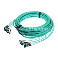 China 72 fibers 6x12F MPO MTP- 6x12F MPO MTP Male Female MM Multimode OM3 OM4 Fiber Optic Patchcord / Optical Fiber Patch Cable / Optical Breakout Cable/ Optical Fiber Trunk Cable / Optic Fiber Fanout Cable for sale